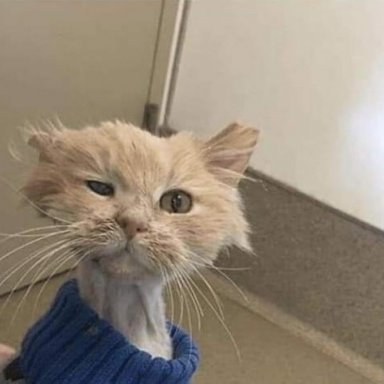 Chart scrolling synchronization in ThinkorSwim? - useThinkScript Community