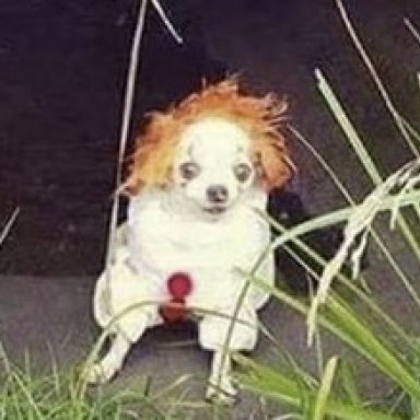 How to add label with Stock Description, Sector, Sub-sector - useThinkScript Community