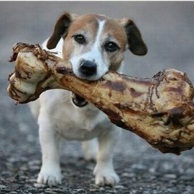 Simple Script To Create A Manual Cloud - useThinkScript Community