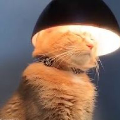 Risk / Position Calculator based on prior bar range - useThinkScript Community